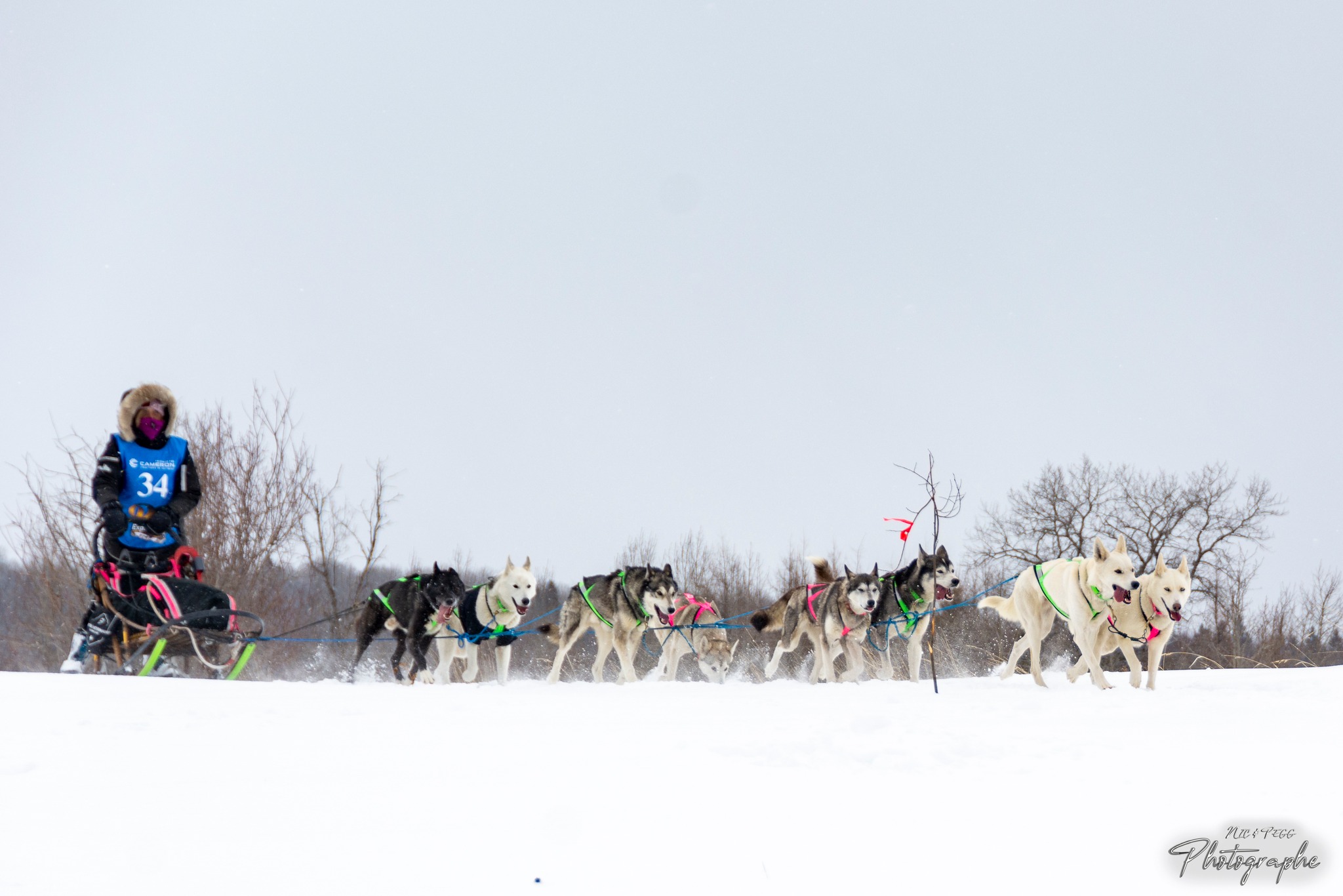 Meet the Mushers :: Can-Am Crown International Sled Dog Races