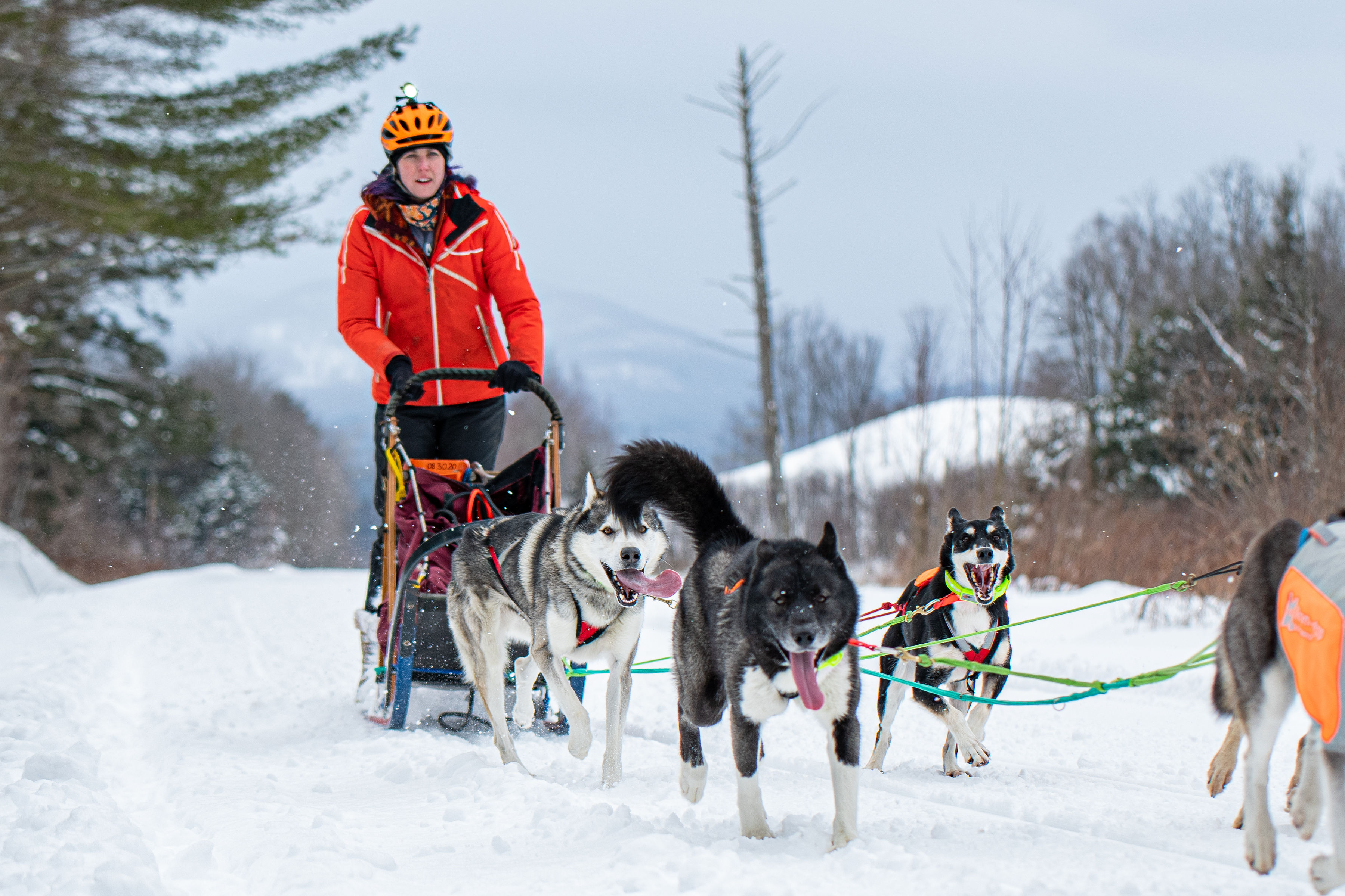 Meet the Mushers :: Can-Am Crown International Sled Dog Races