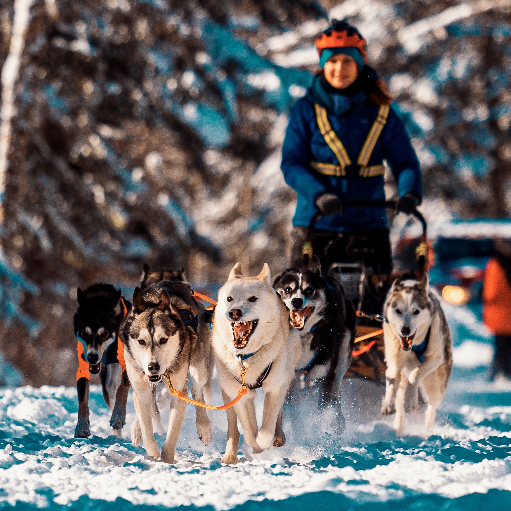 Meet the Mushers :: Can-Am Crown International Sled Dog Races