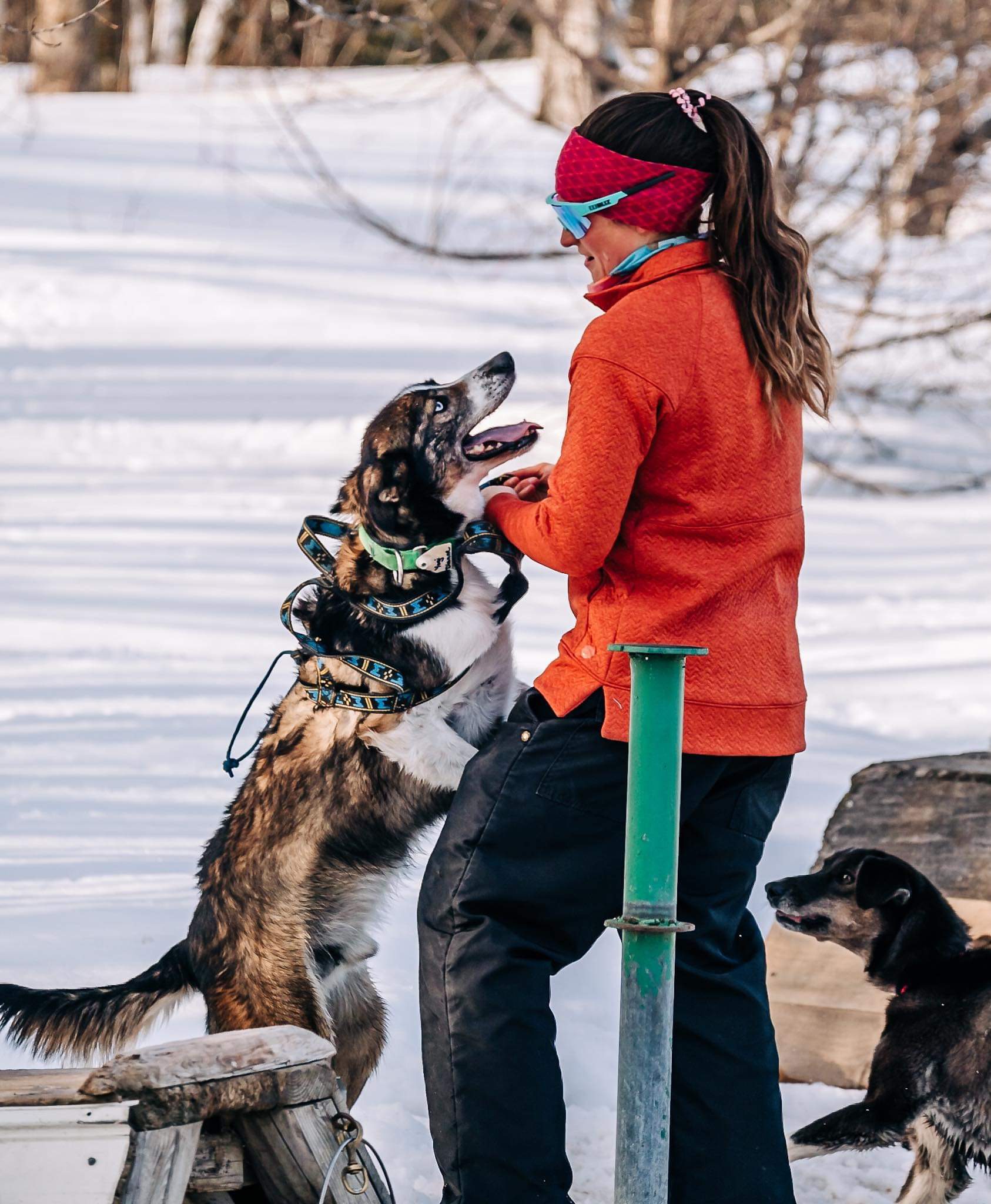 Meet the Mushers :: Can-Am Crown International Sled Dog Races