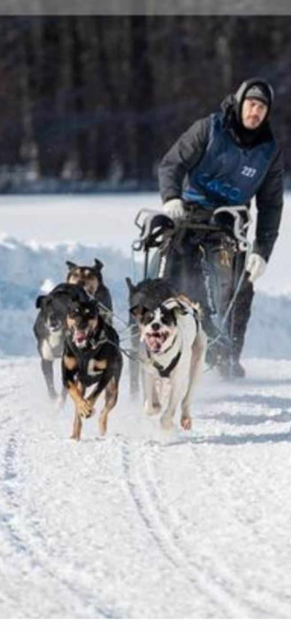 Meet the Mushers :: Can-Am Crown International Sled Dog Races